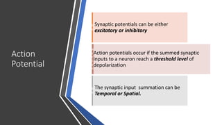 Synaptic integration & Synaptic Potential | PDF