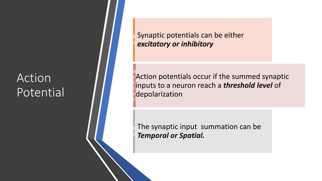 Synaptic integration & Synaptic Potential | PDF | Computer Peripherals | Computing
