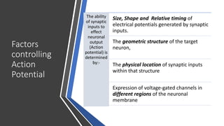 Synaptic integration & Synaptic Potential | PDF