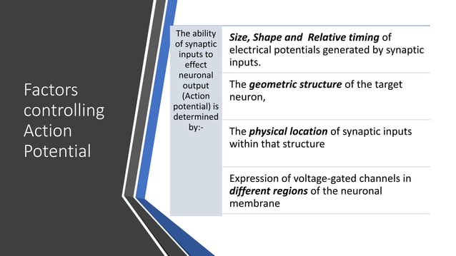Synaptic integration & Synaptic Potential | PDF | Computer Peripherals | Computing