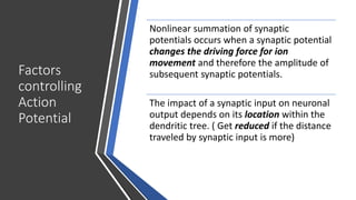 Synaptic integration & Synaptic Potential | PDF