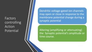Synaptic integration & Synaptic Potential | PDF