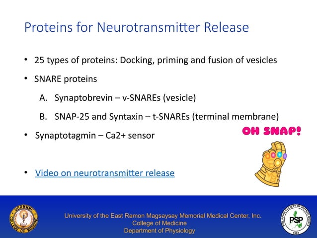 Overview of Synaptic Physiology: Types, Steps and Neurotransmitters | PPT
