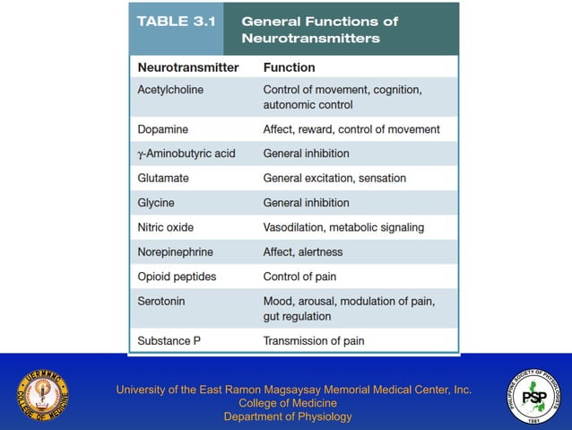 Overview of Synaptic Physiology: Types, Steps and Neurotransmitters | PPT