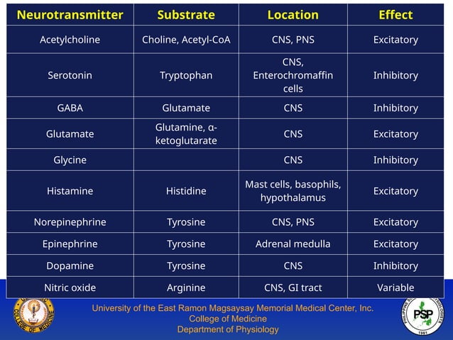 Overview of Synaptic Physiology: Types, Steps and Neurotransmitters | PPT