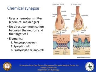 Overview of Synaptic Physiology: Types, Steps and Neurotransmitters | PPTX