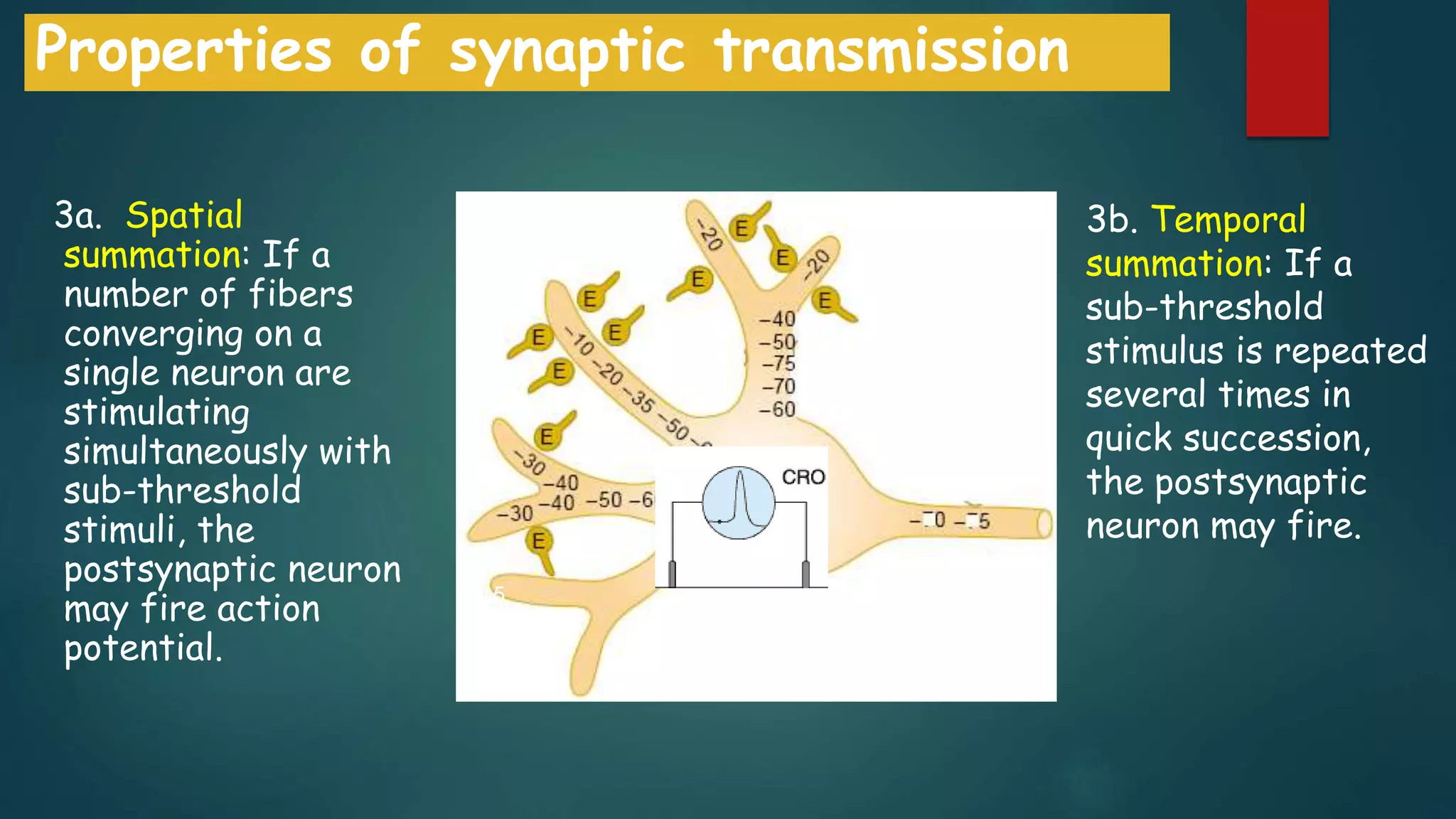 Synaptic transmission | PPTX