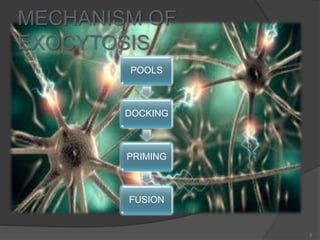 Synaptic Transmission | PPTX