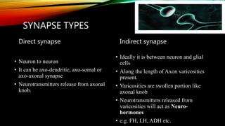Synaptic transmission | PPTX