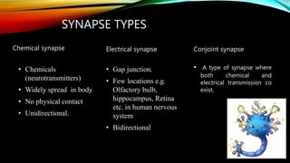 Synaptic transmission | PPTX