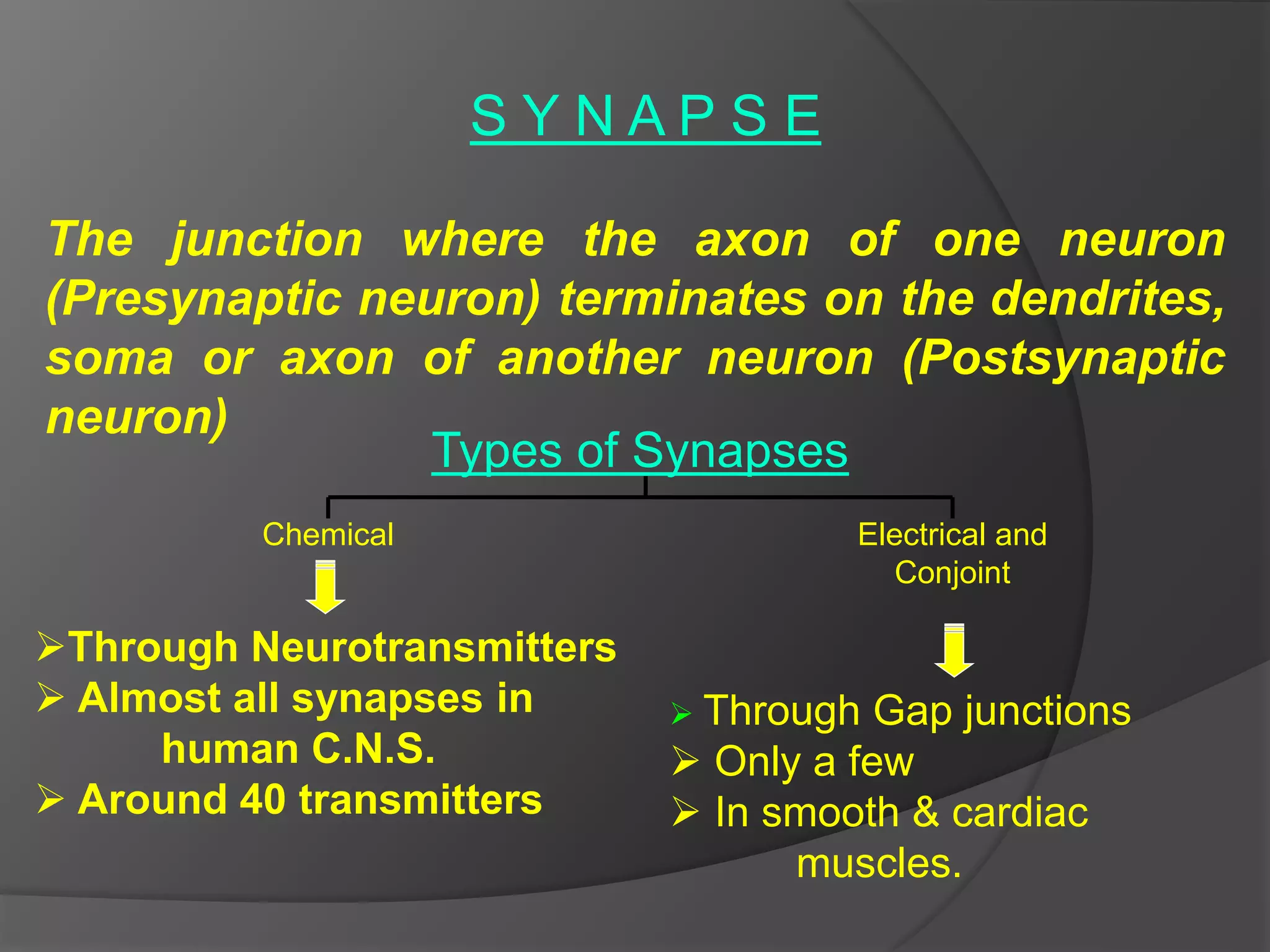 Synaptic Transmission.pptx