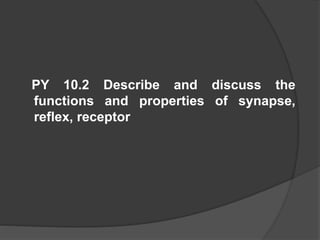 Synaptic Transmission.pptx