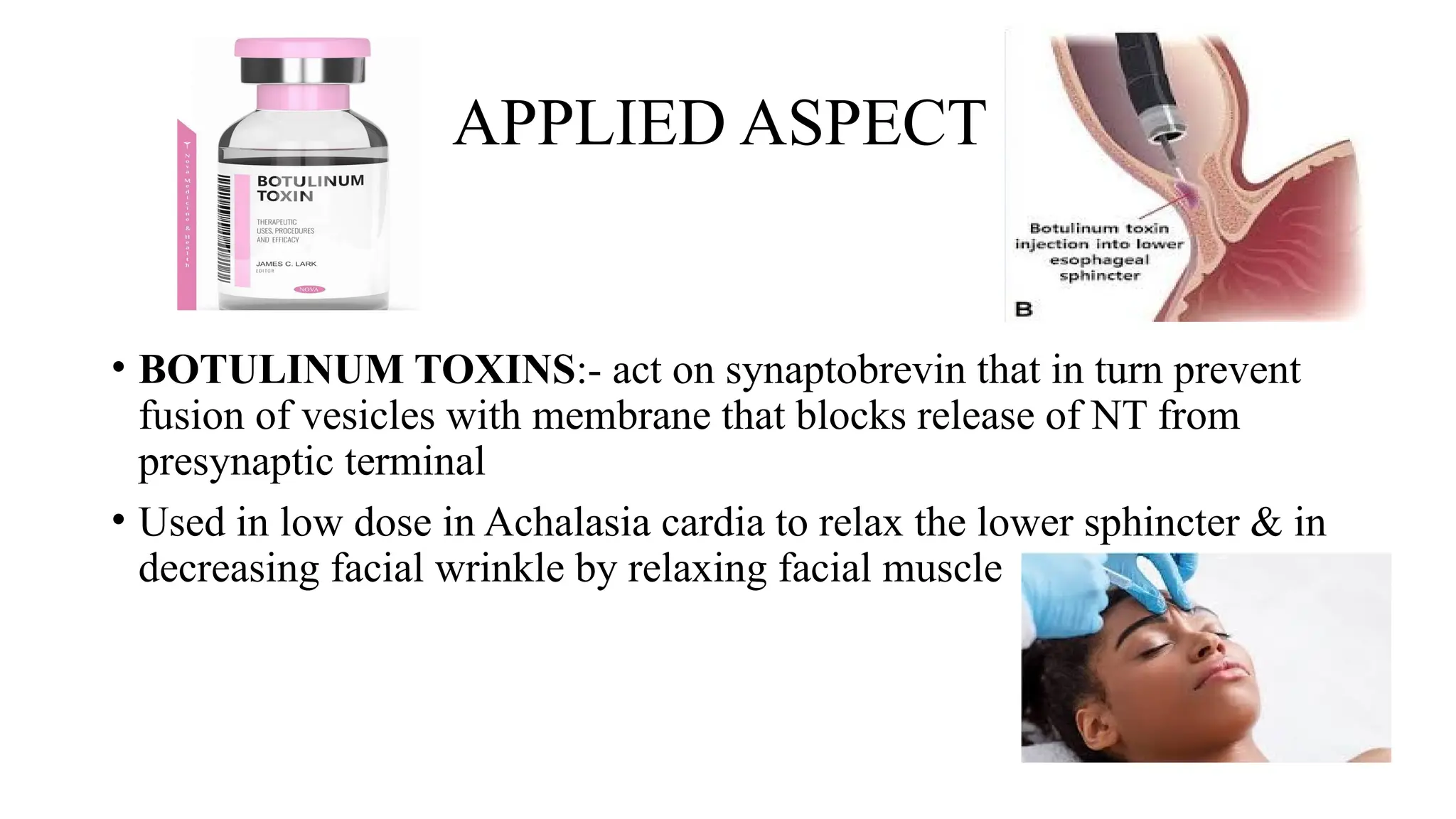 synaptic transmission.pptx AND ACTION POTENTIAL | PPT