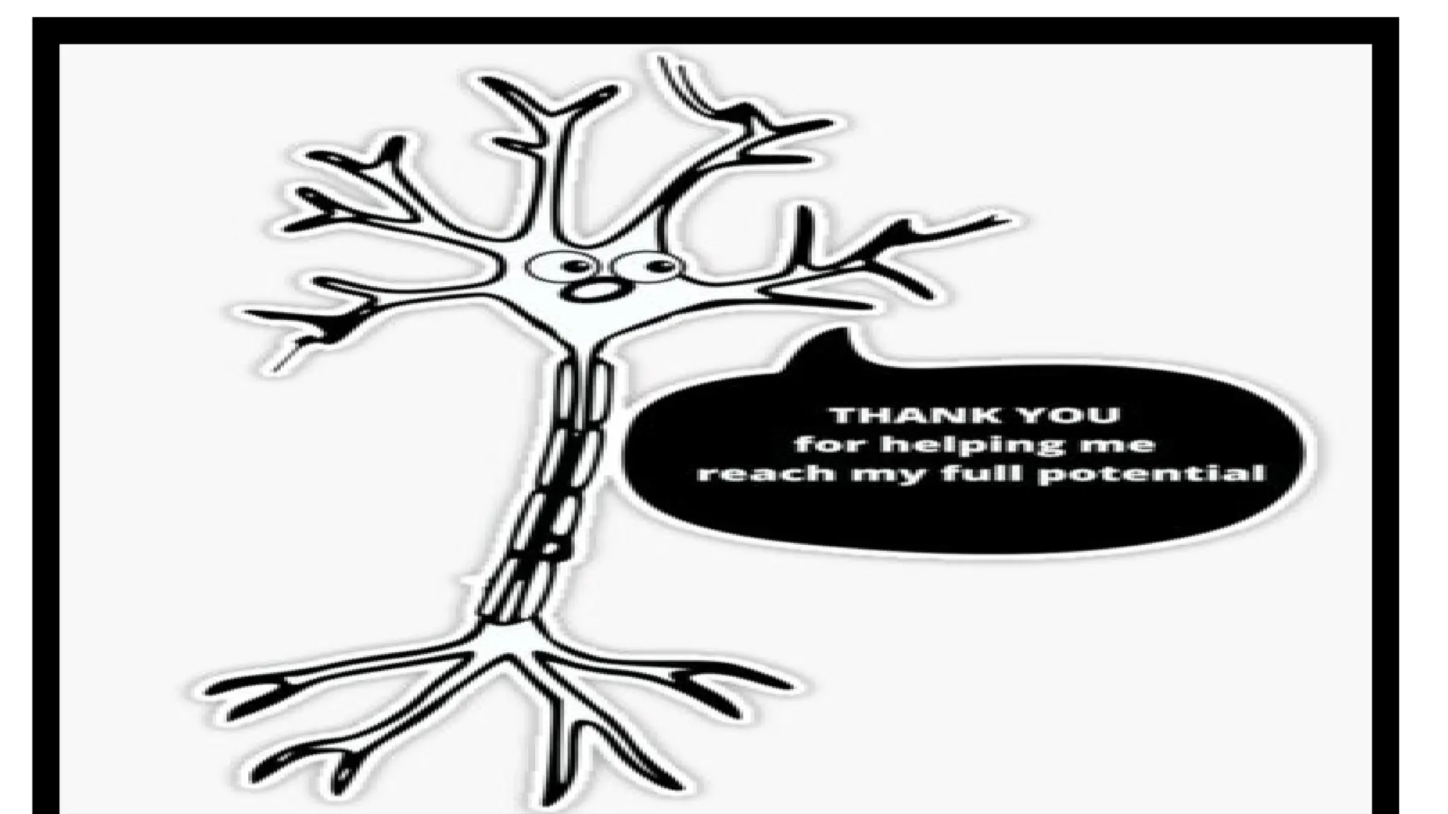 synaptic transmission.pptx AND ACTION POTENTIAL | PPT