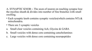synaptic transmission.pptx AND ACTION POTENTIAL | PPT
