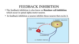 synaptic transmission.pptx AND ACTION POTENTIAL | PPT