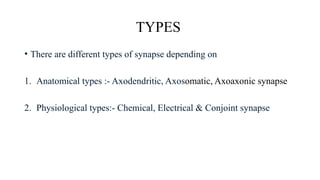synaptic transmission.pptx AND ACTION POTENTIAL | PPT
