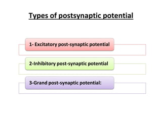 It is the junction between a motor neuron and a skeletal muscle | PPT
