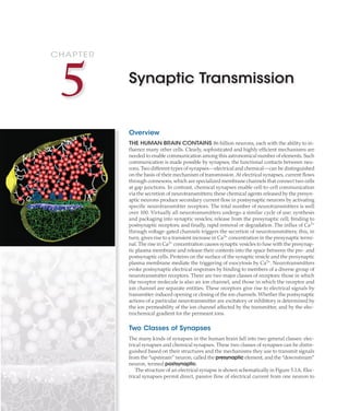 Synaptic transmission - Dale Purves et al. (eds.) - Neuroscience (2018 ...