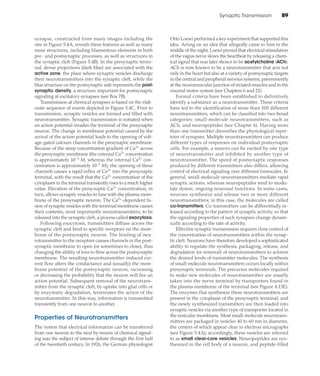Synaptic transmission - Dale Purves et al. (eds.) - Neuroscience (2018 ...