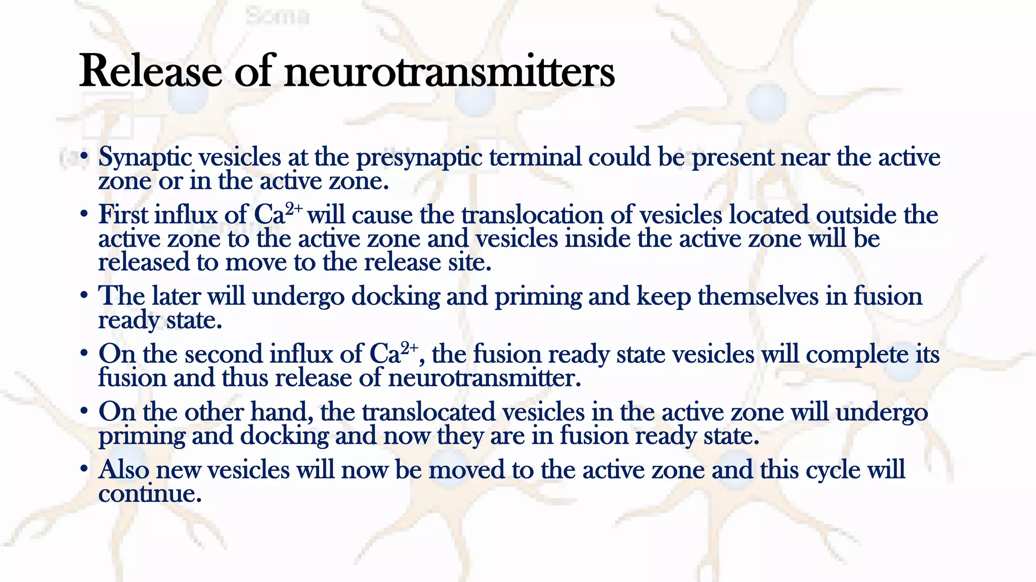 Synaptic transmission types I Steps of chemical neurotransmission I ...