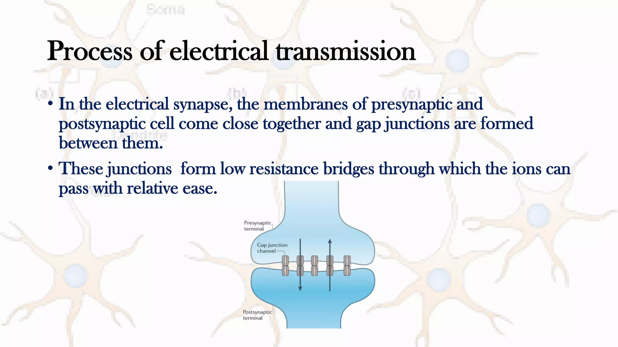 Synaptic transmission types I Steps of chemical neurotransmission I ...