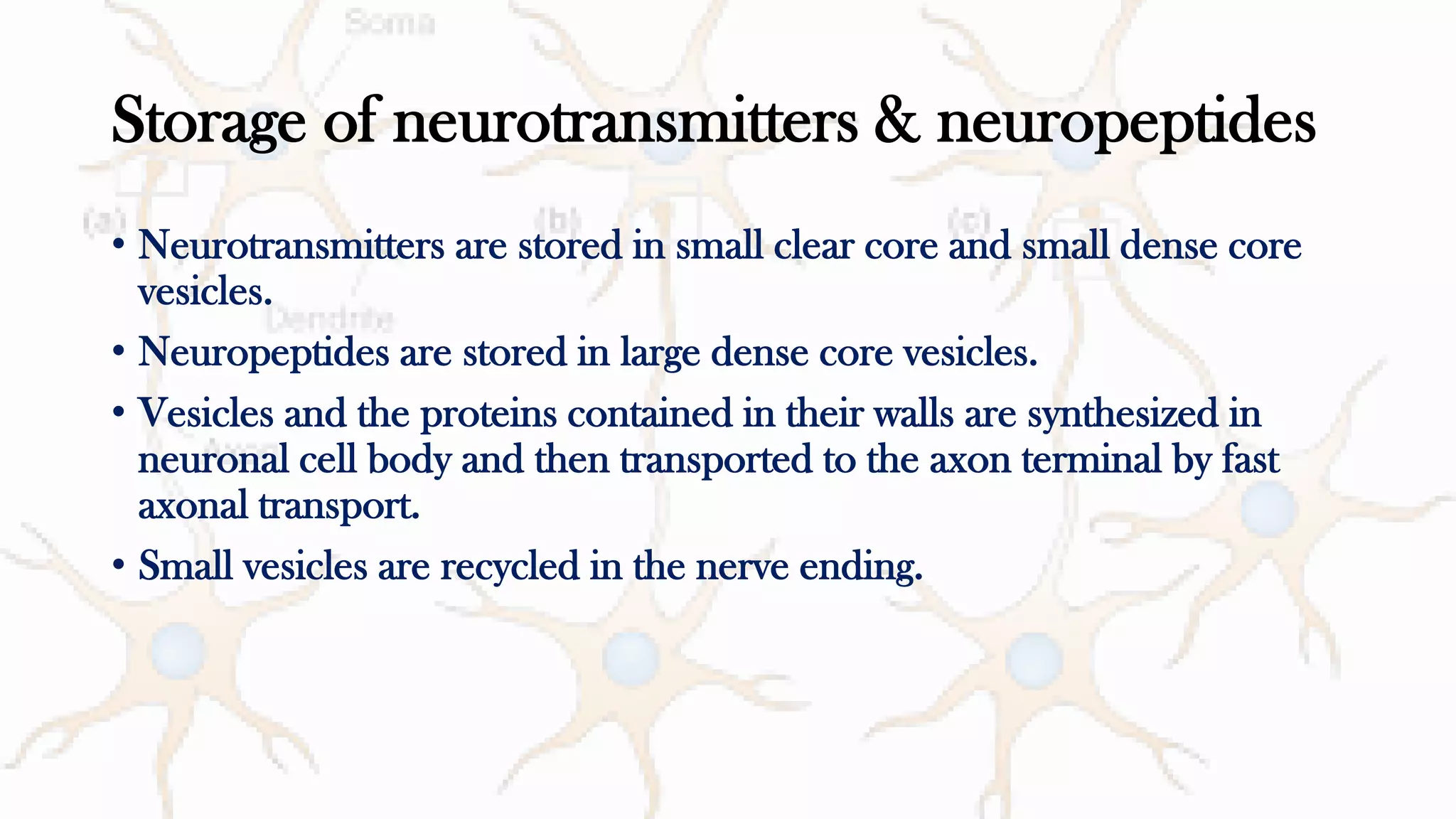 Synaptic transmission types I Steps of chemical neurotransmission I ...