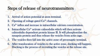 Synaptic transmission types I Steps of chemical neurotransmission I ...