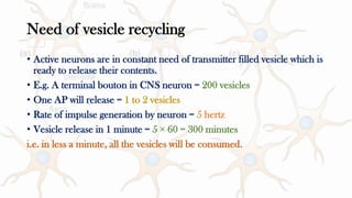 Synaptic transmission types I Steps of chemical neurotransmission I ...