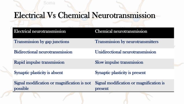 Synaptic transmission types I Steps of chemical neurotransmission I ...