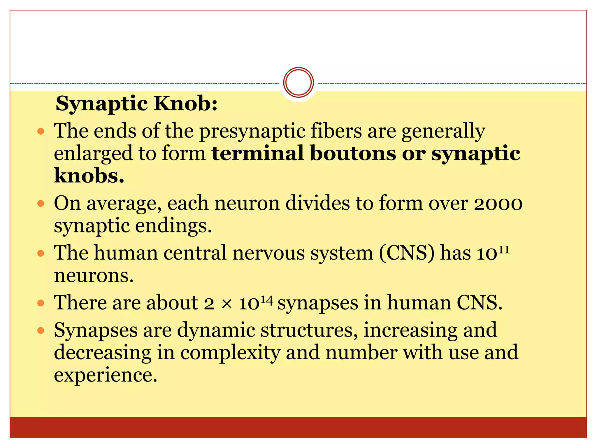 Synaptic transmission i | PPTX