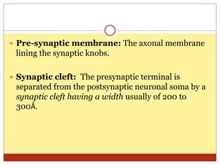 Synaptic transmission i | PPTX