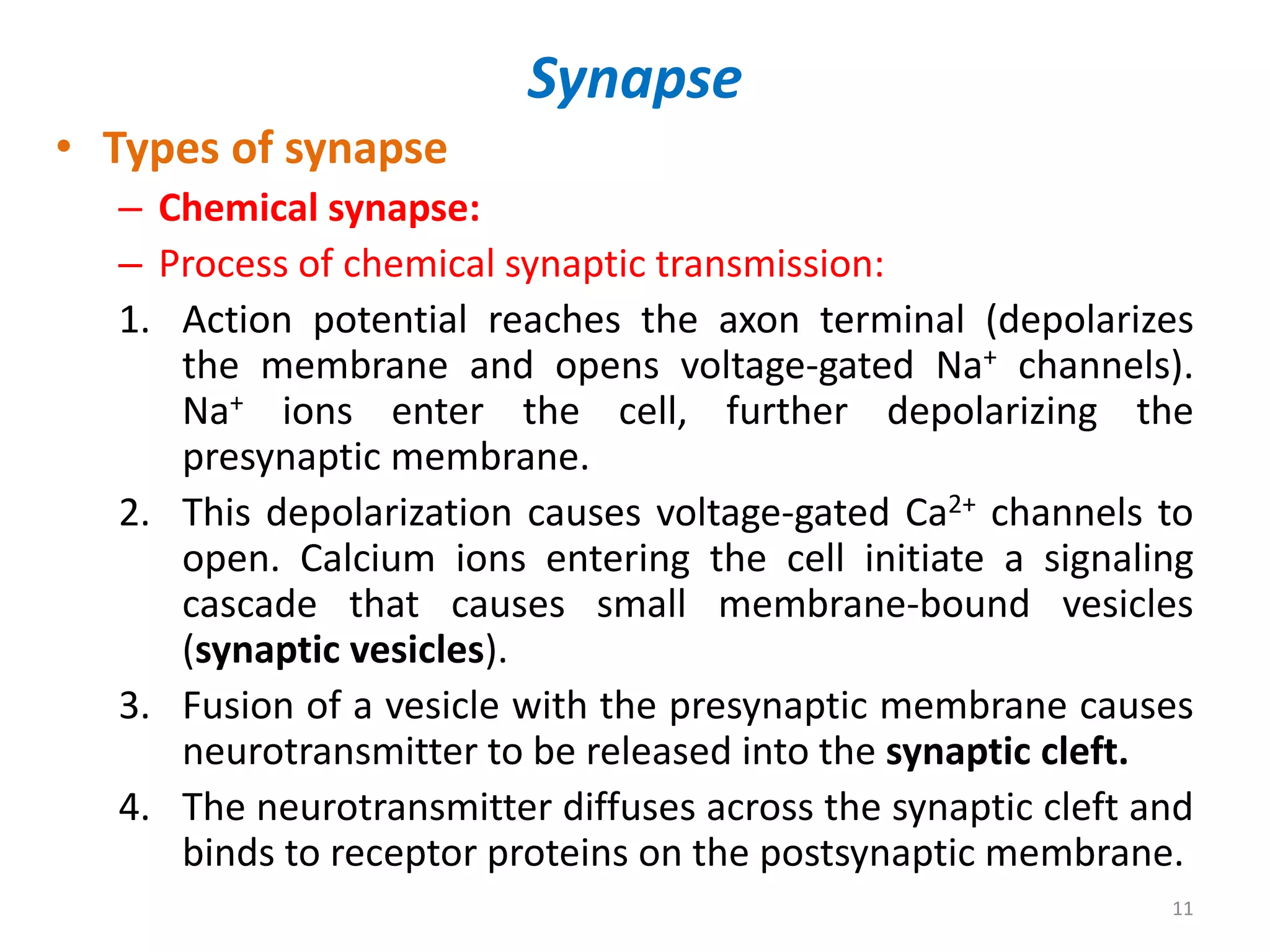 Synaptic transmission in CNS | PPTX