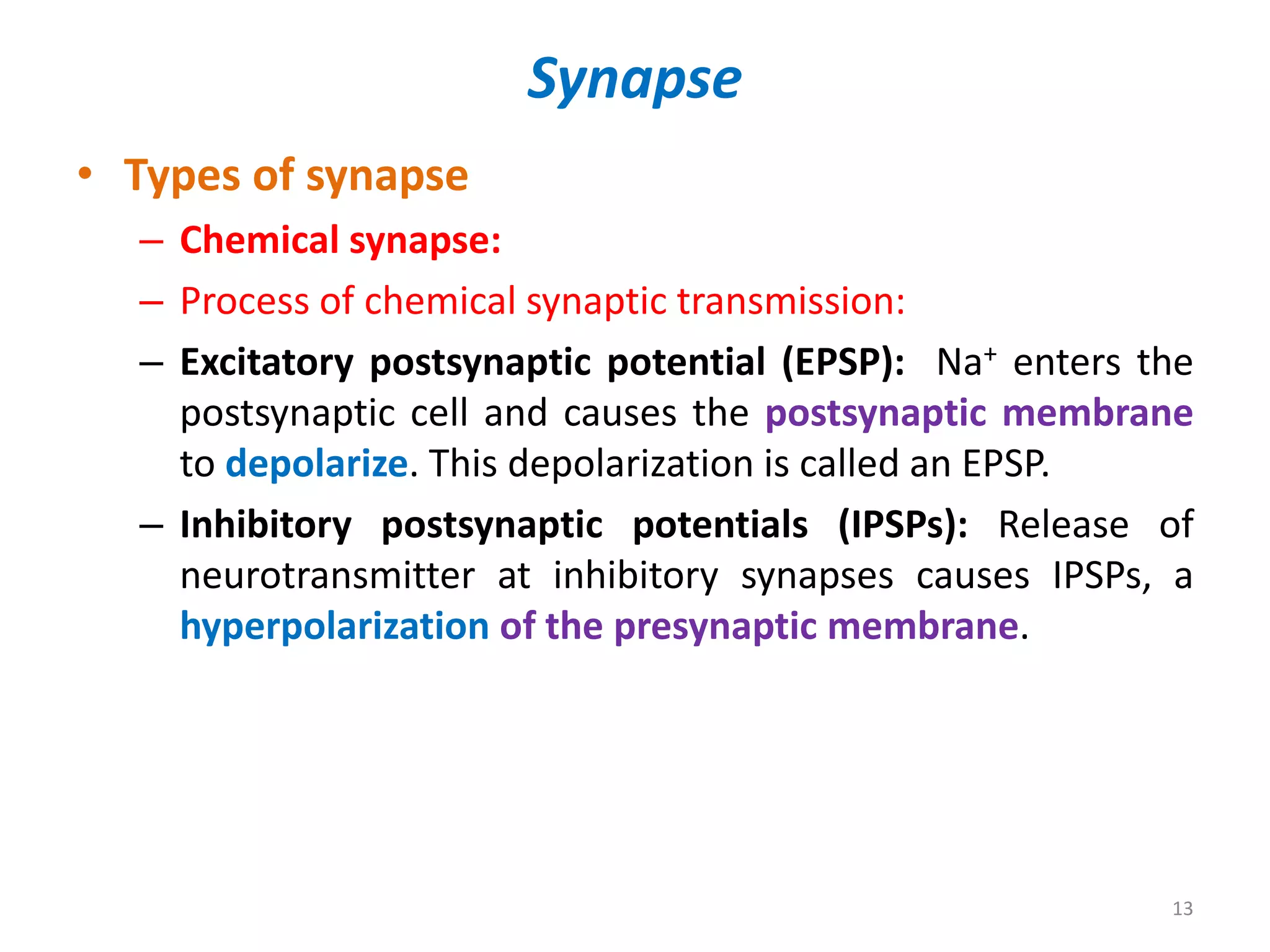 Synaptic transmission in CNS | PPTX