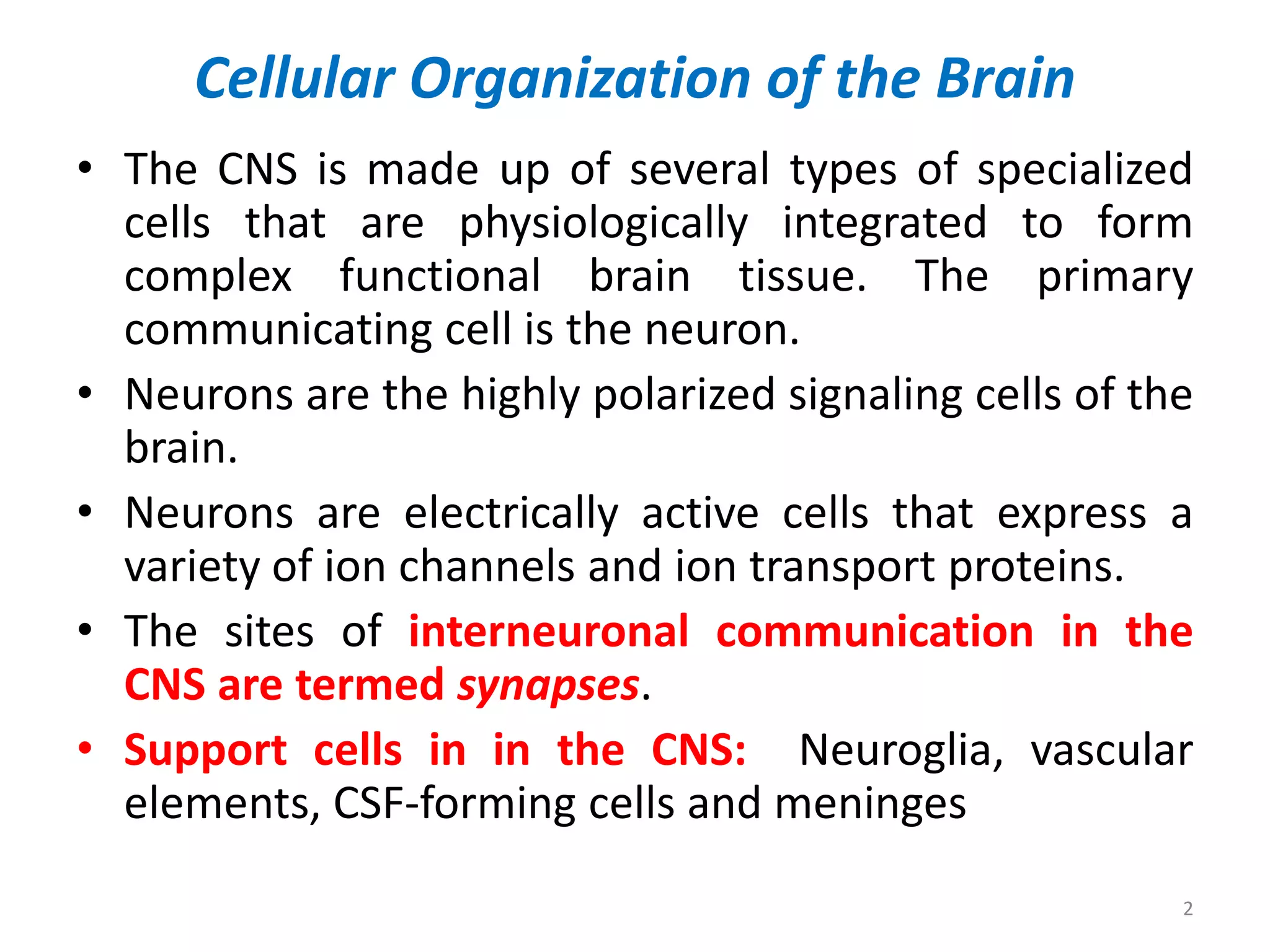 Synaptic transmission in CNS | PPTX