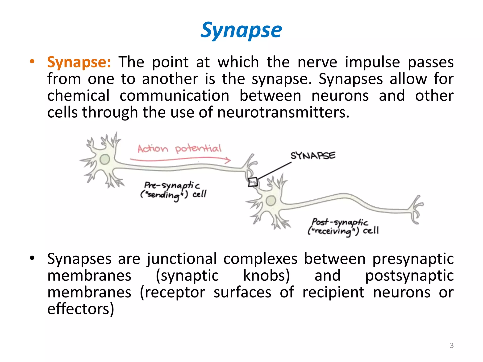Synaptic transmission in CNS | PPTX