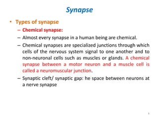 Synaptic transmission in CNS | PPTX