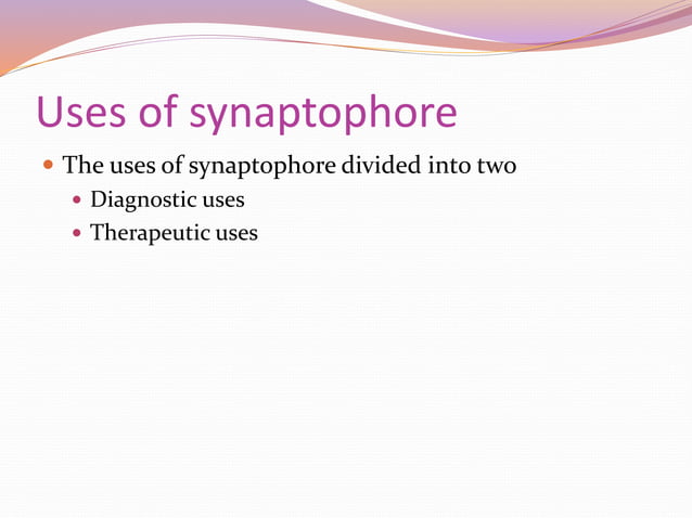 Synaptophore | PPTX | Eye and Vision Conditions | Diseases and Conditions