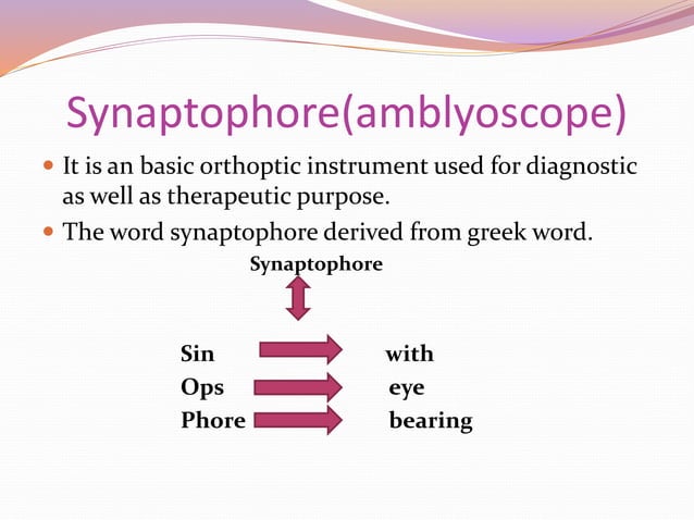 Synaptophore | PPTX | Eye and Vision Conditions | Diseases and Conditions