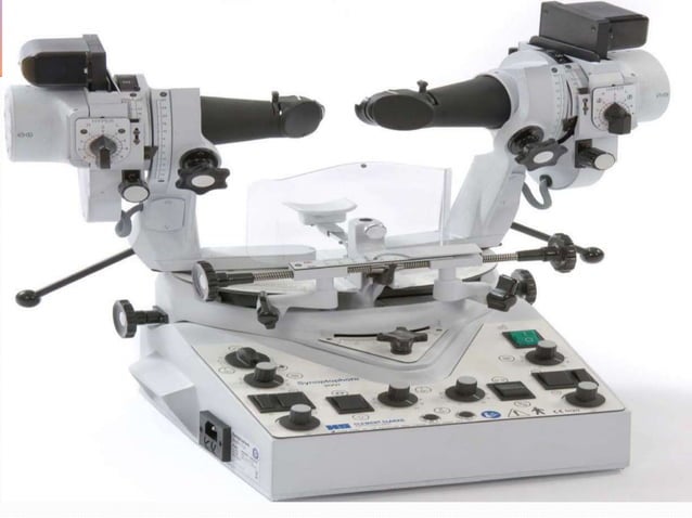 Synaptophore | PPTX | Eye and Vision Conditions | Diseases and Conditions