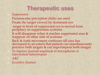 Synaptophore naman | PPTX