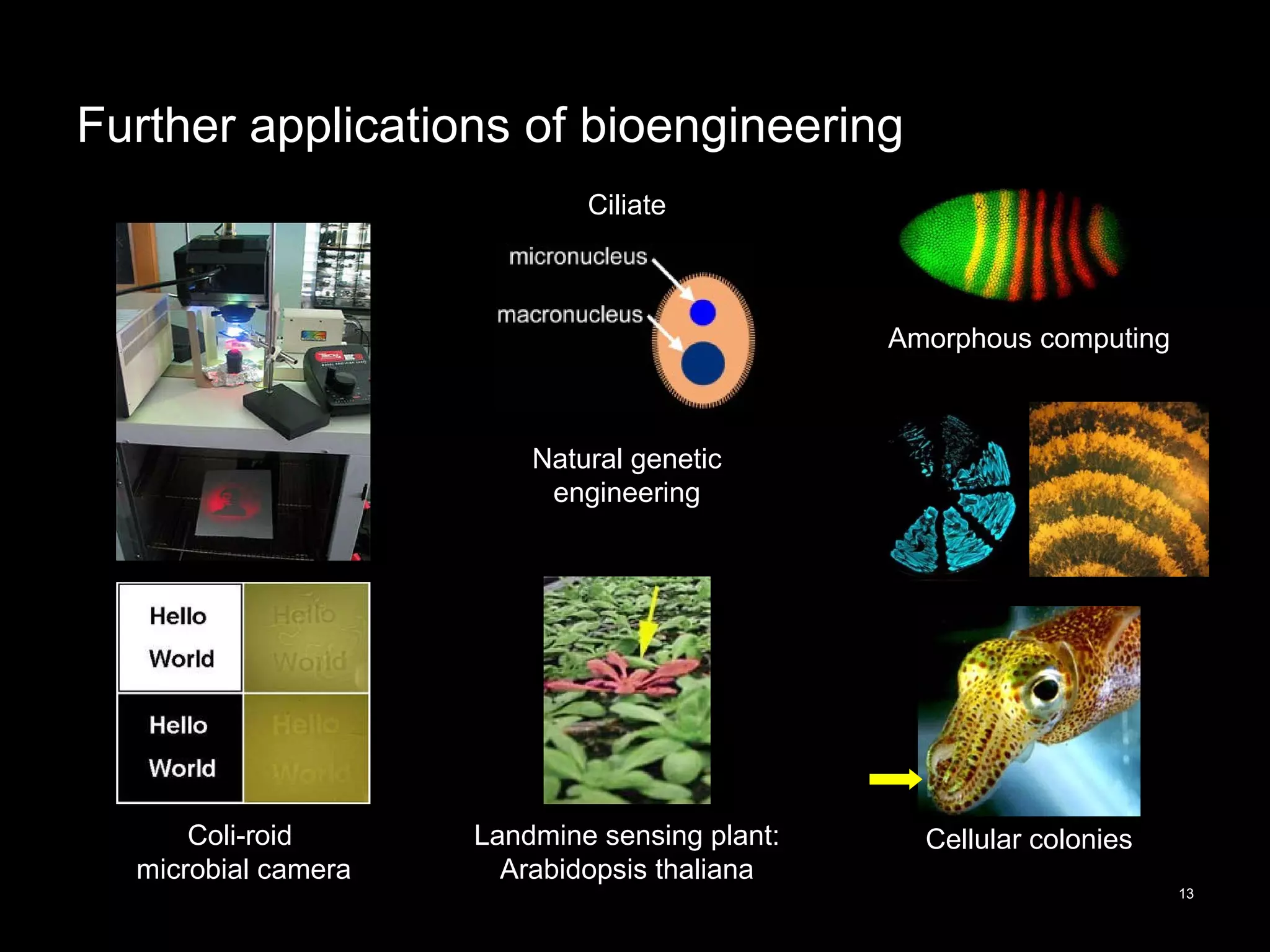 Bioengineering: making life from scratch | PPT
