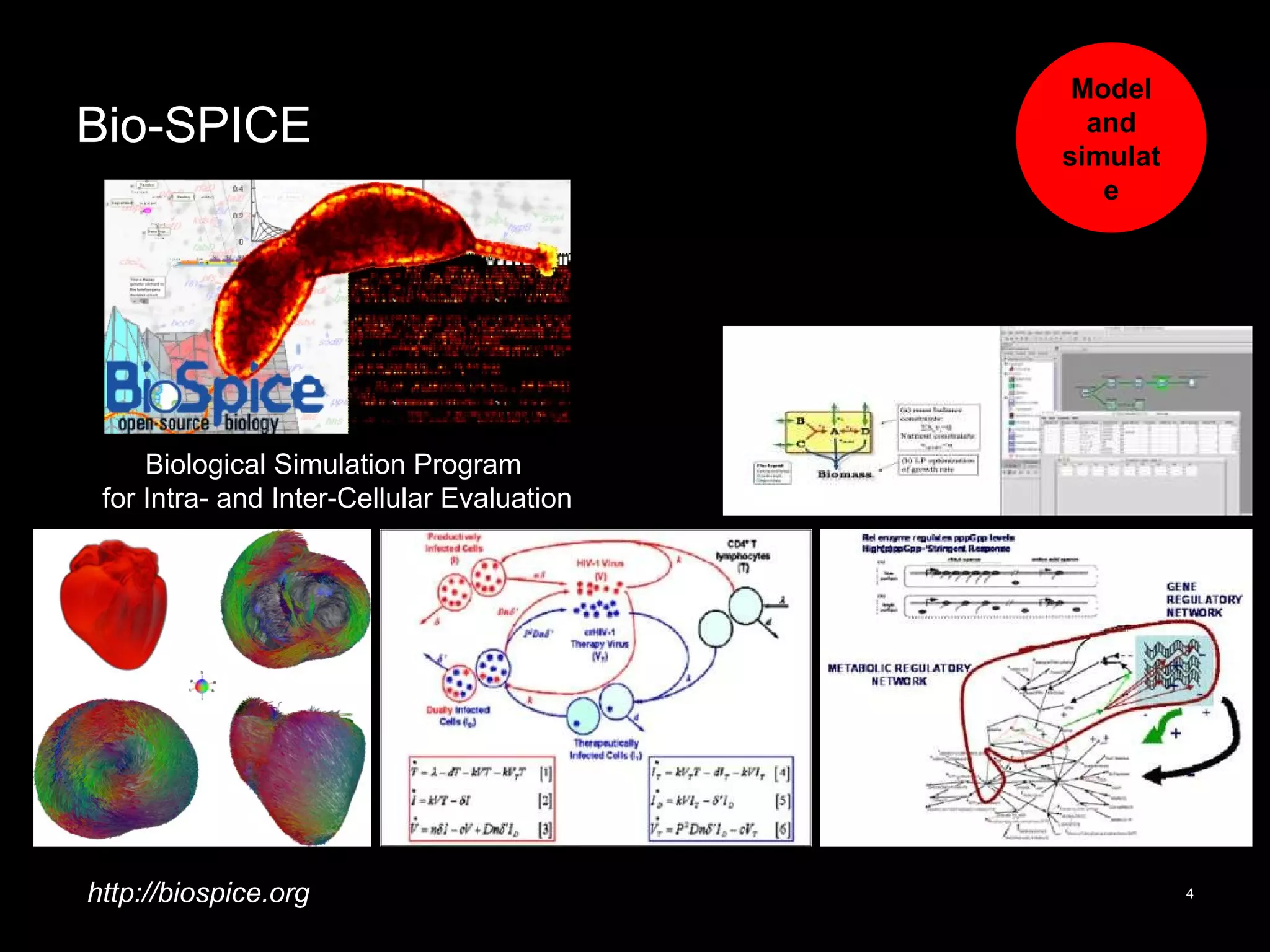 Bioengineering: making life from scratch | PPT