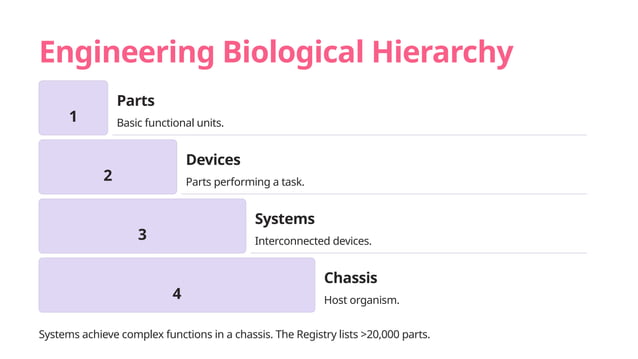 engineering life- an introduction to synthetic biology | PPTX