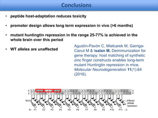 Synthetic biology towards gene therapy: synthetic repressors in ...