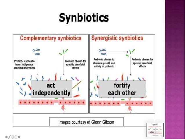 Synbiotics - Arvind Prajapati ....pptx
