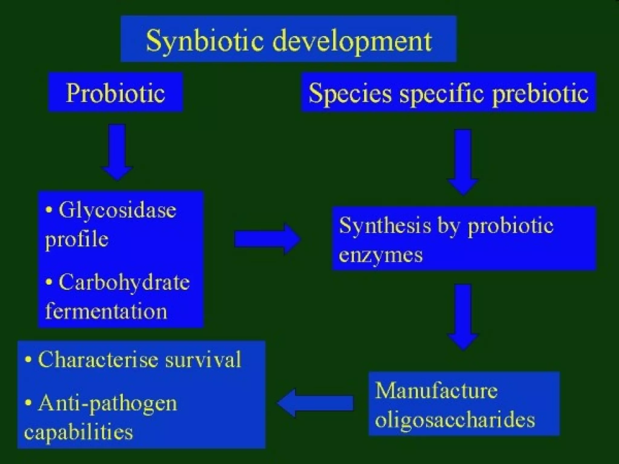 Synbiotics novel functional ingredients for health | PPT