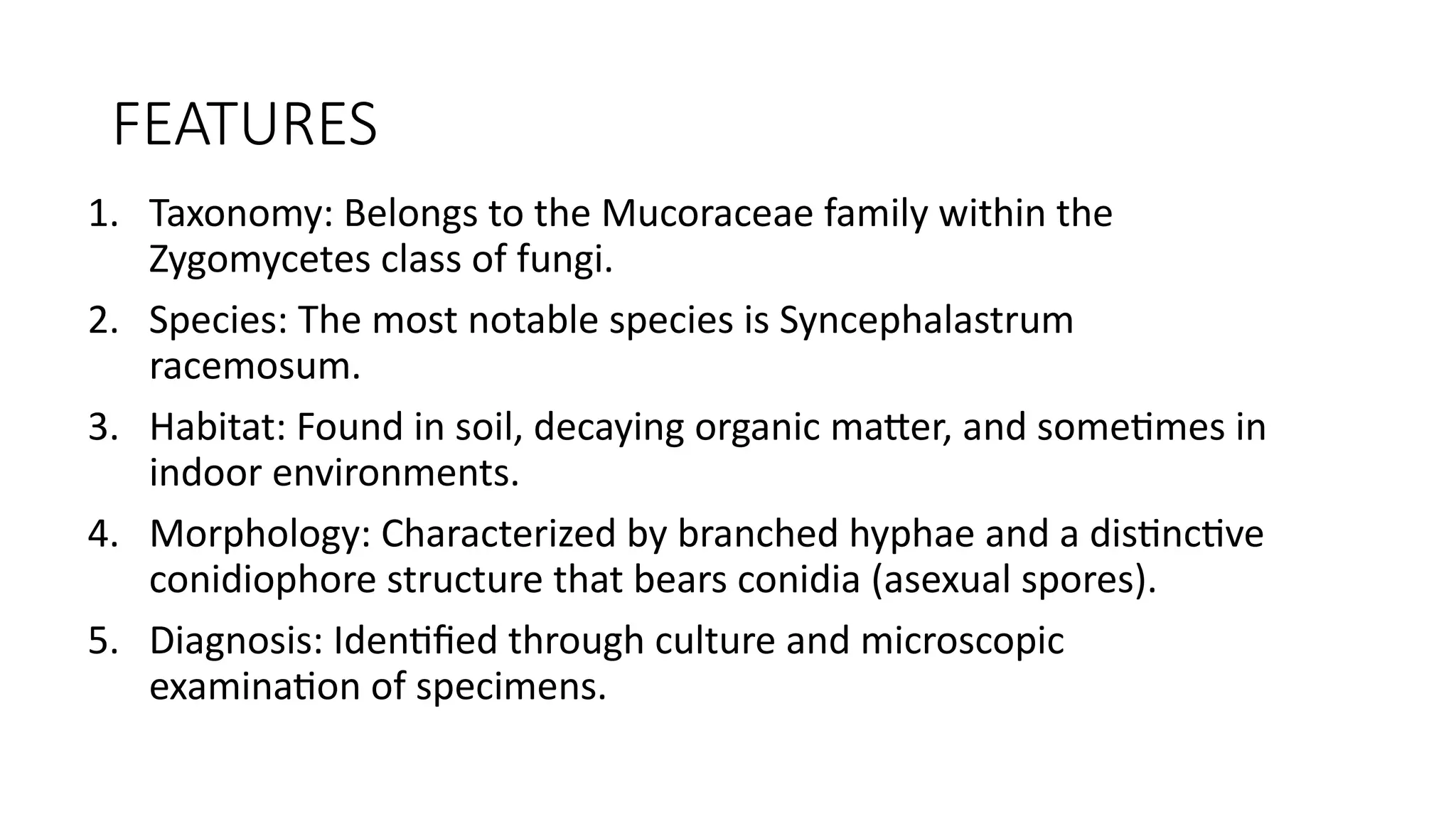 Syncephalastrum (Mycology) presentation.pptx