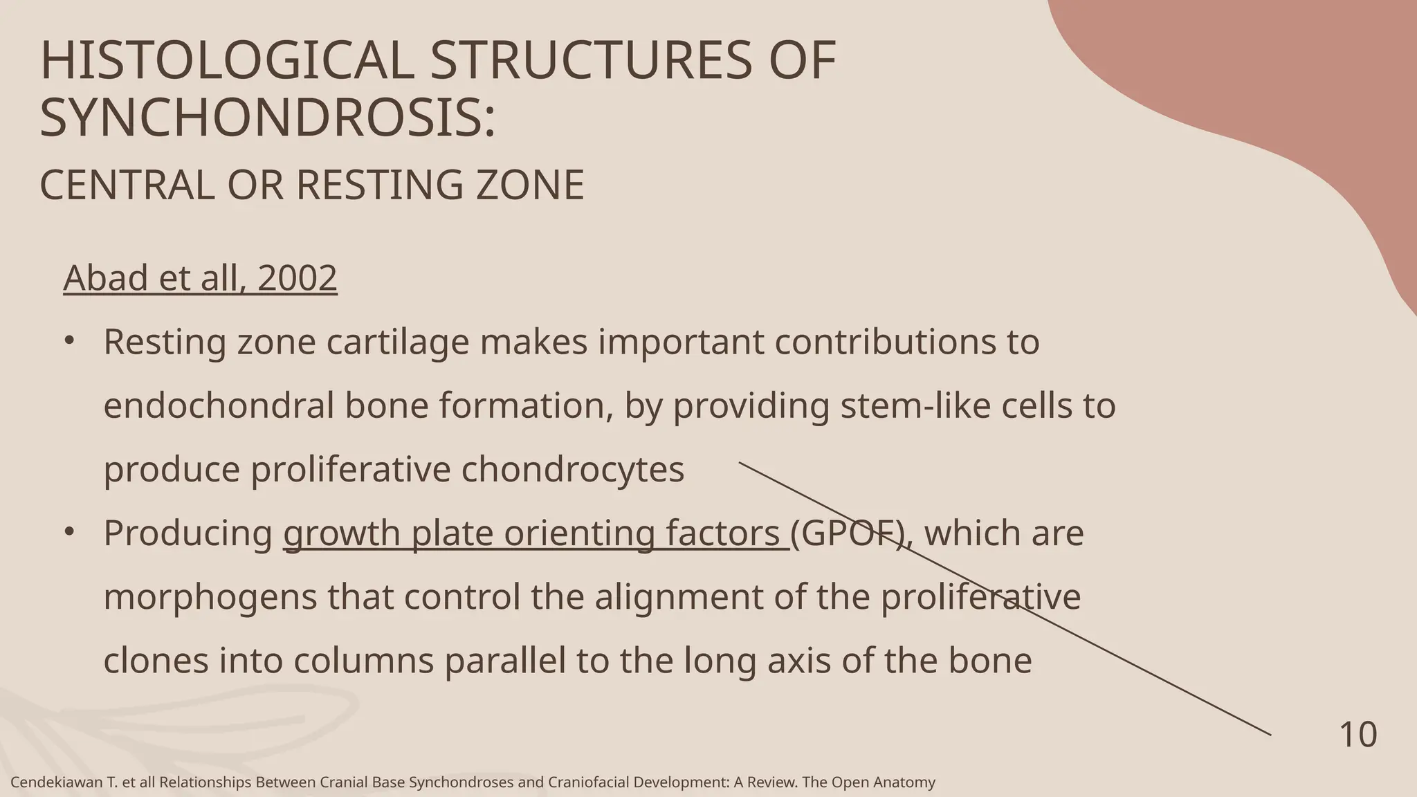 SYNCHONDROSIS IN ORTHODONTICS AND ITS SIGNIFICANCE IN GROWTH | PPTX