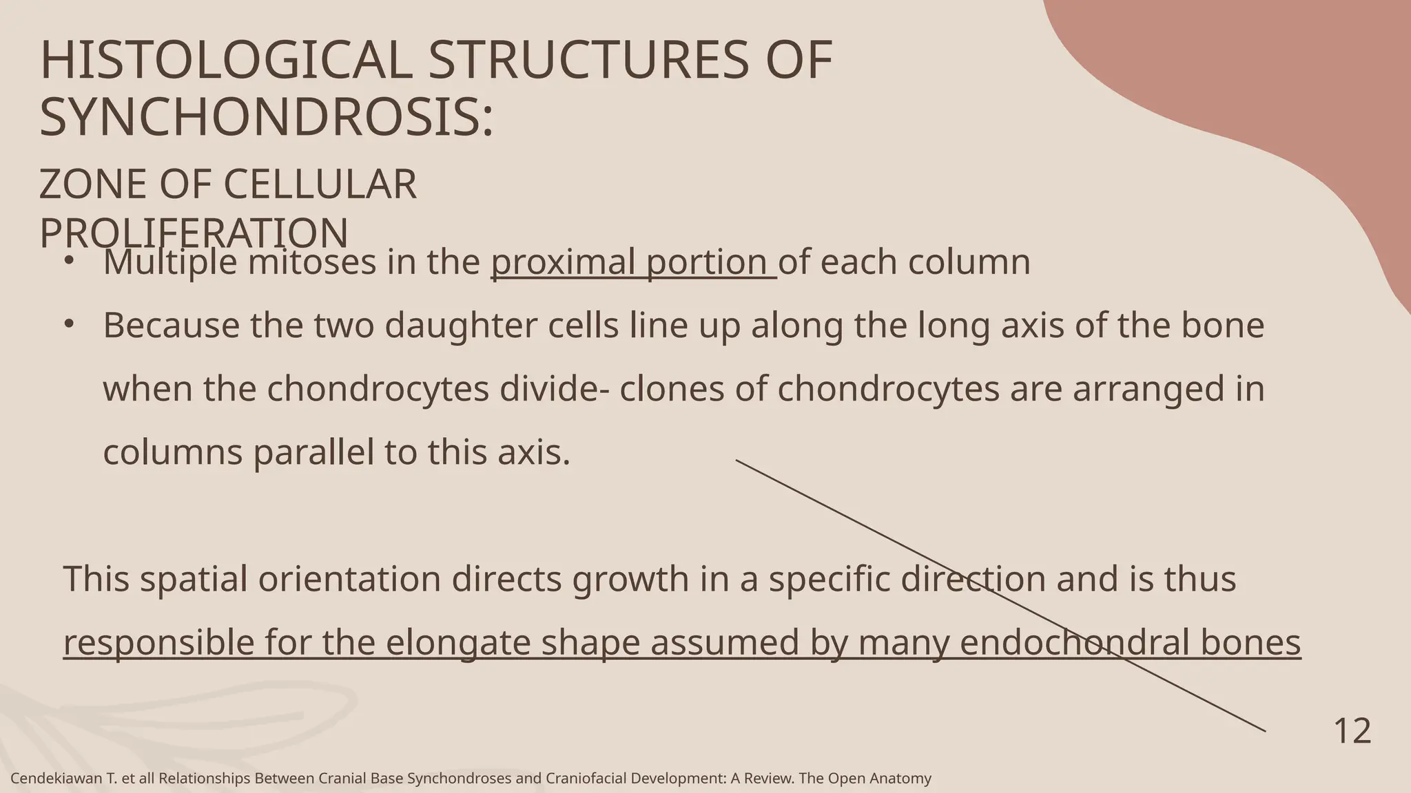 SYNCHONDROSIS IN ORTHODONTICS AND ITS SIGNIFICANCE IN GROWTH | PPTX